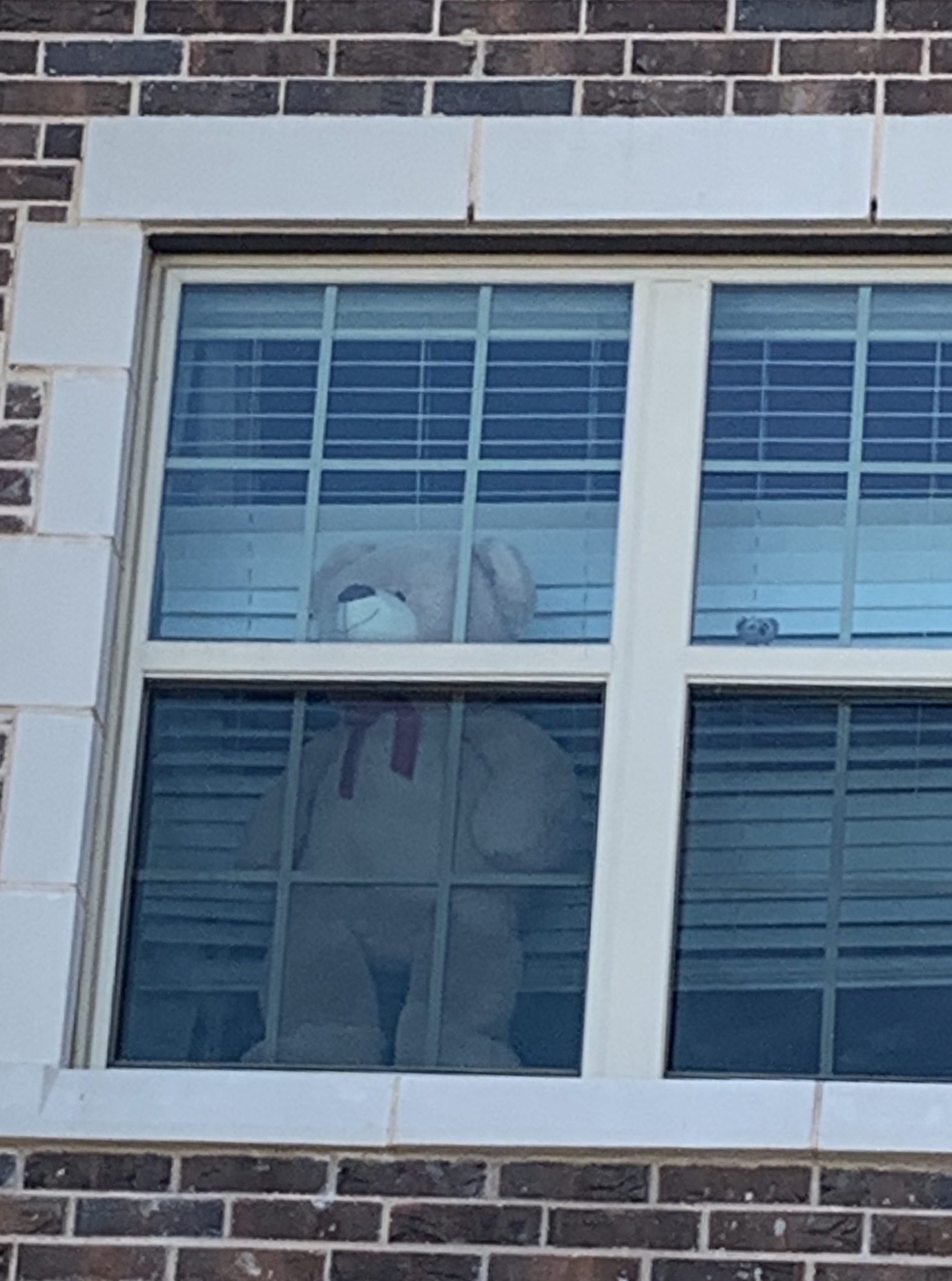 We're Going on a Bear Hunt! (in our neighborhood!) - So Wonderfully Complex